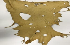 Hide Preparation - Miami Leather Company